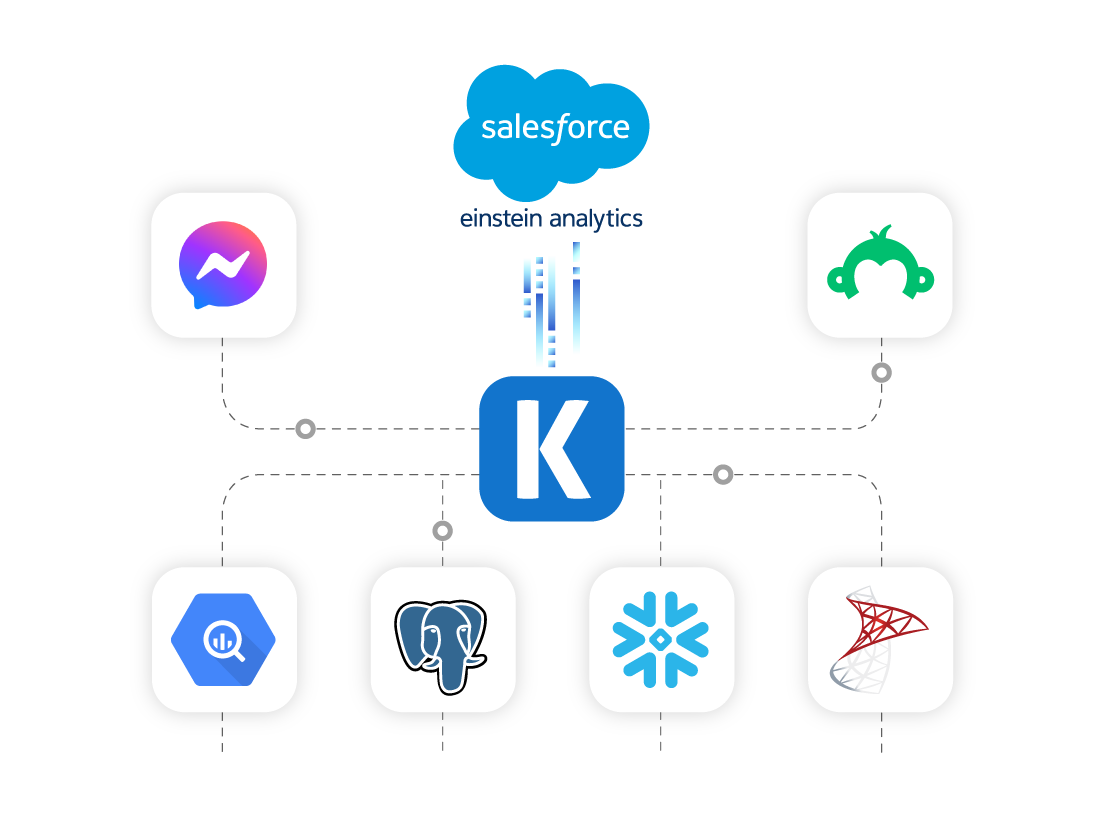 Salesforce Einstein Wave Analytics Ssis Components Ssis Productivity